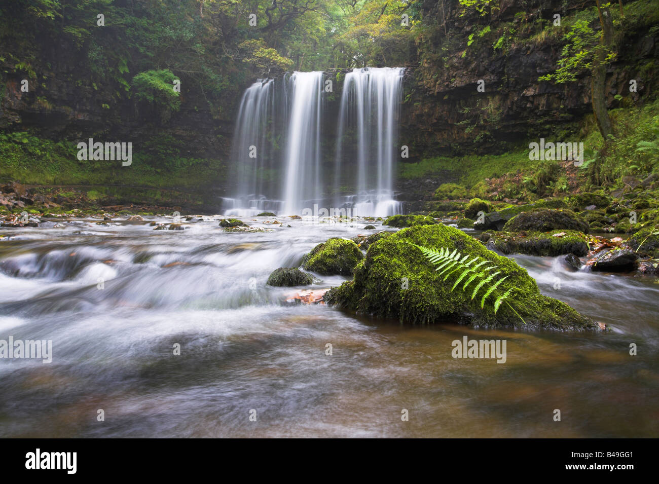 Sgwd yr Eira waterfall with fern stem and moss covered rocks in ...