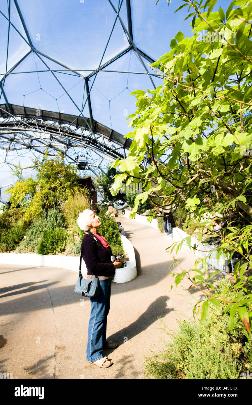 Visitors inside Mediterranean Biome Eden Project Bodelva St Austell ...