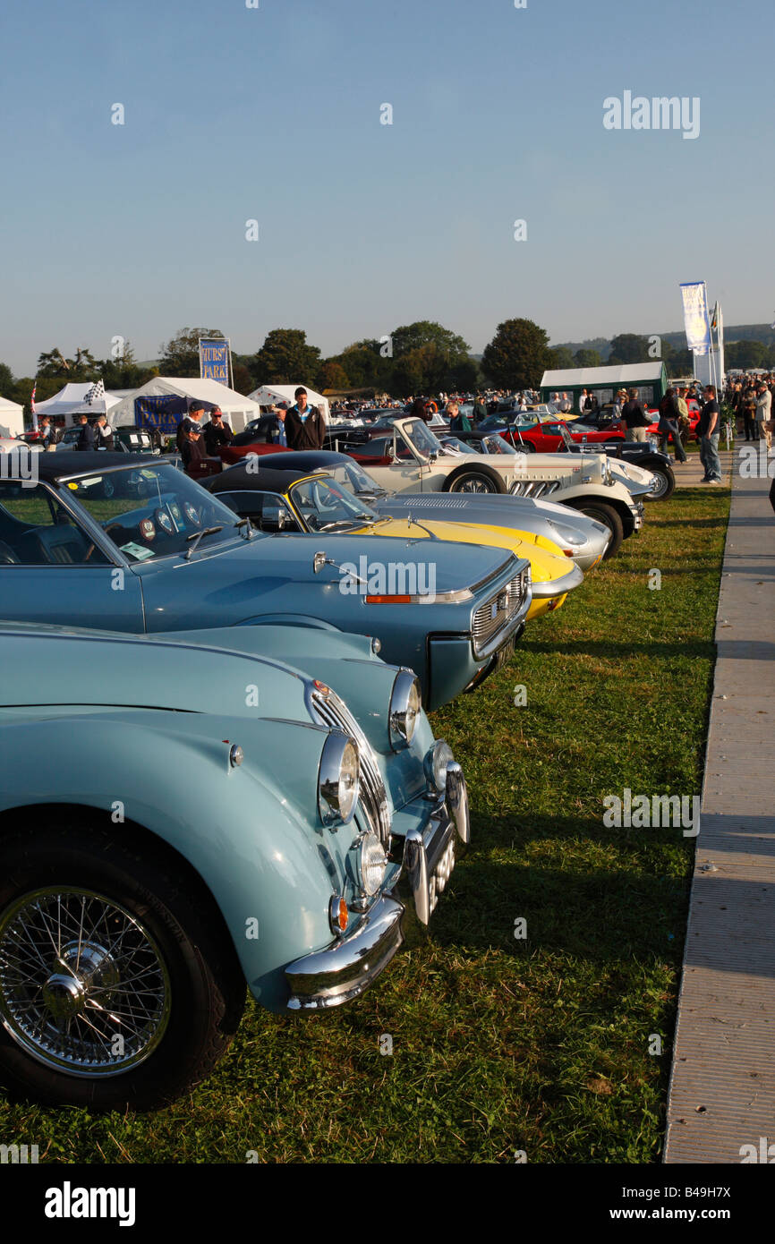 classic car line up in Goodwood car park Stock Photo - Alamy