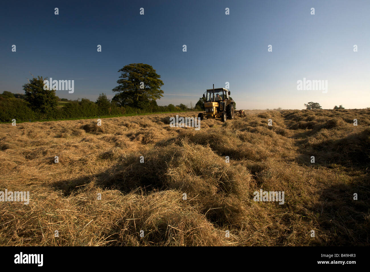 Tractor turning Hay UK Stock Photo - Alamy