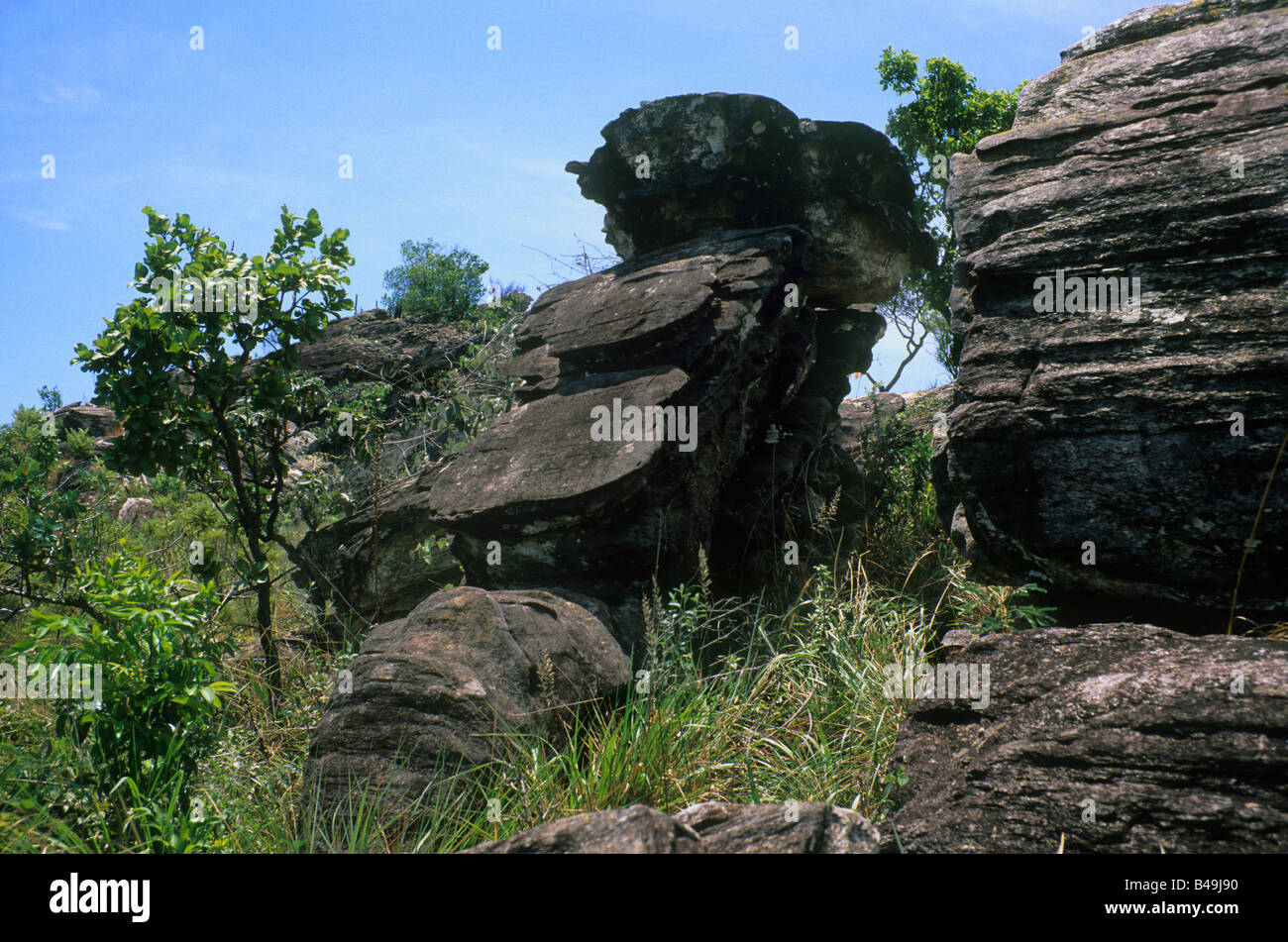 Rock outcrop with wooded savanna vegetation called cerrado near ...