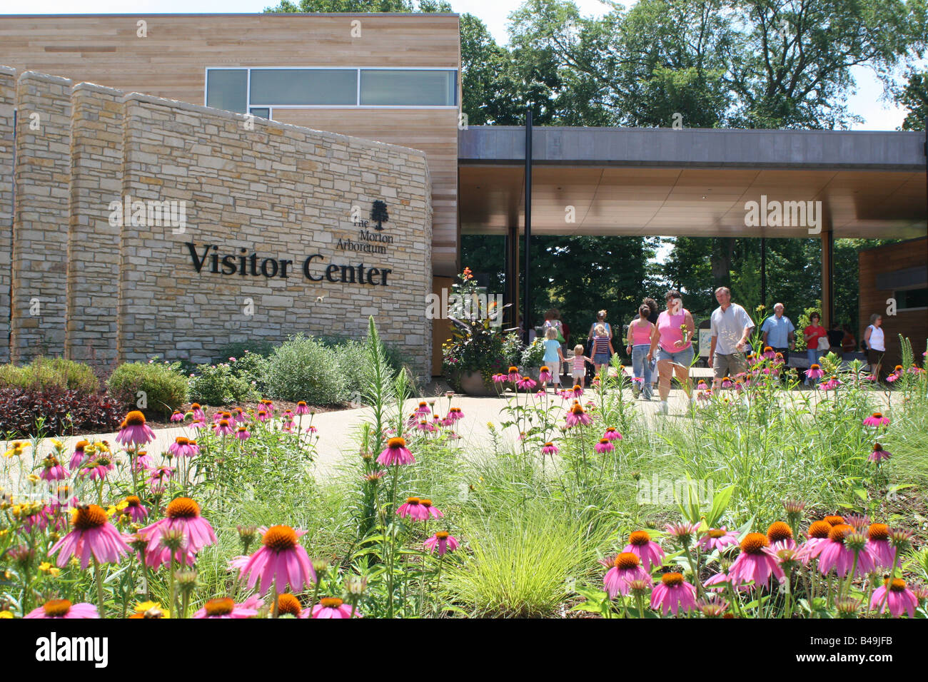 Purple Coneflower growing at The Morton Arboretum Visitor Center ...