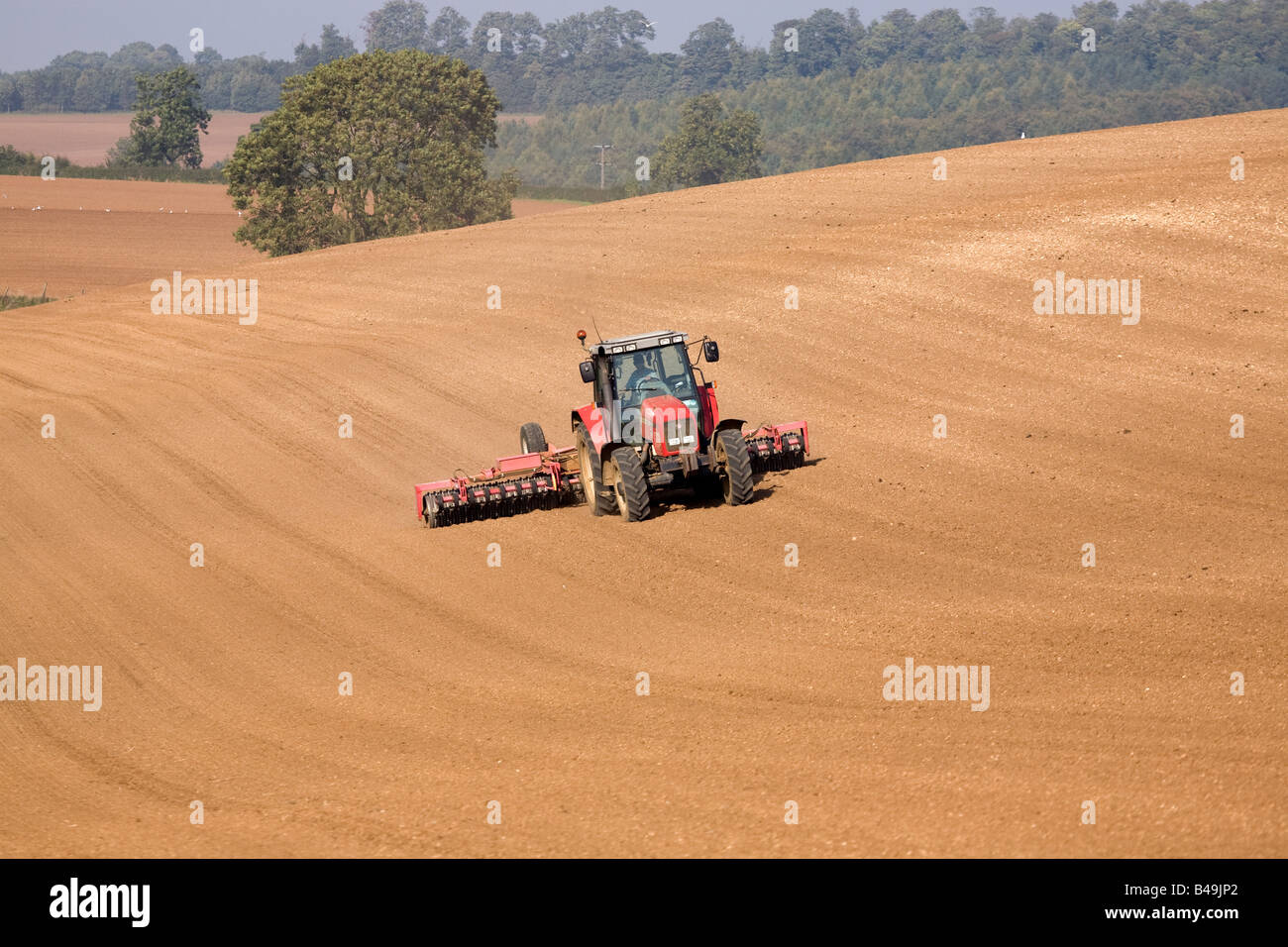 Massey Ferguson Tractor Rolling In The Rutland Countryside Stock Photo ...