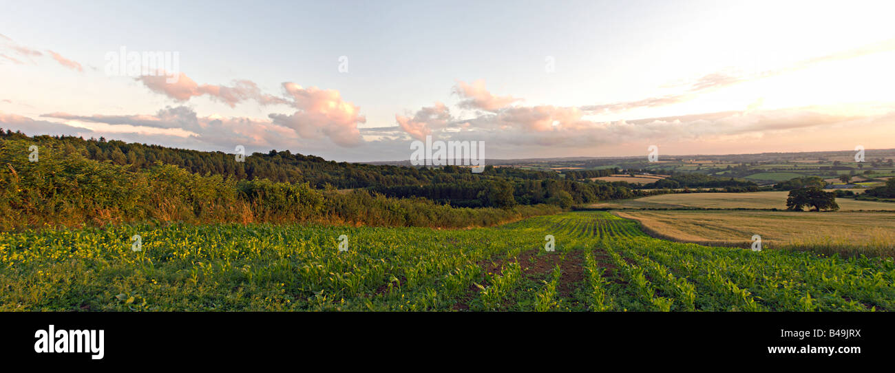 Panorama of a sunset over the Mendip hills, Somerset UK Stock Photo - Alamy