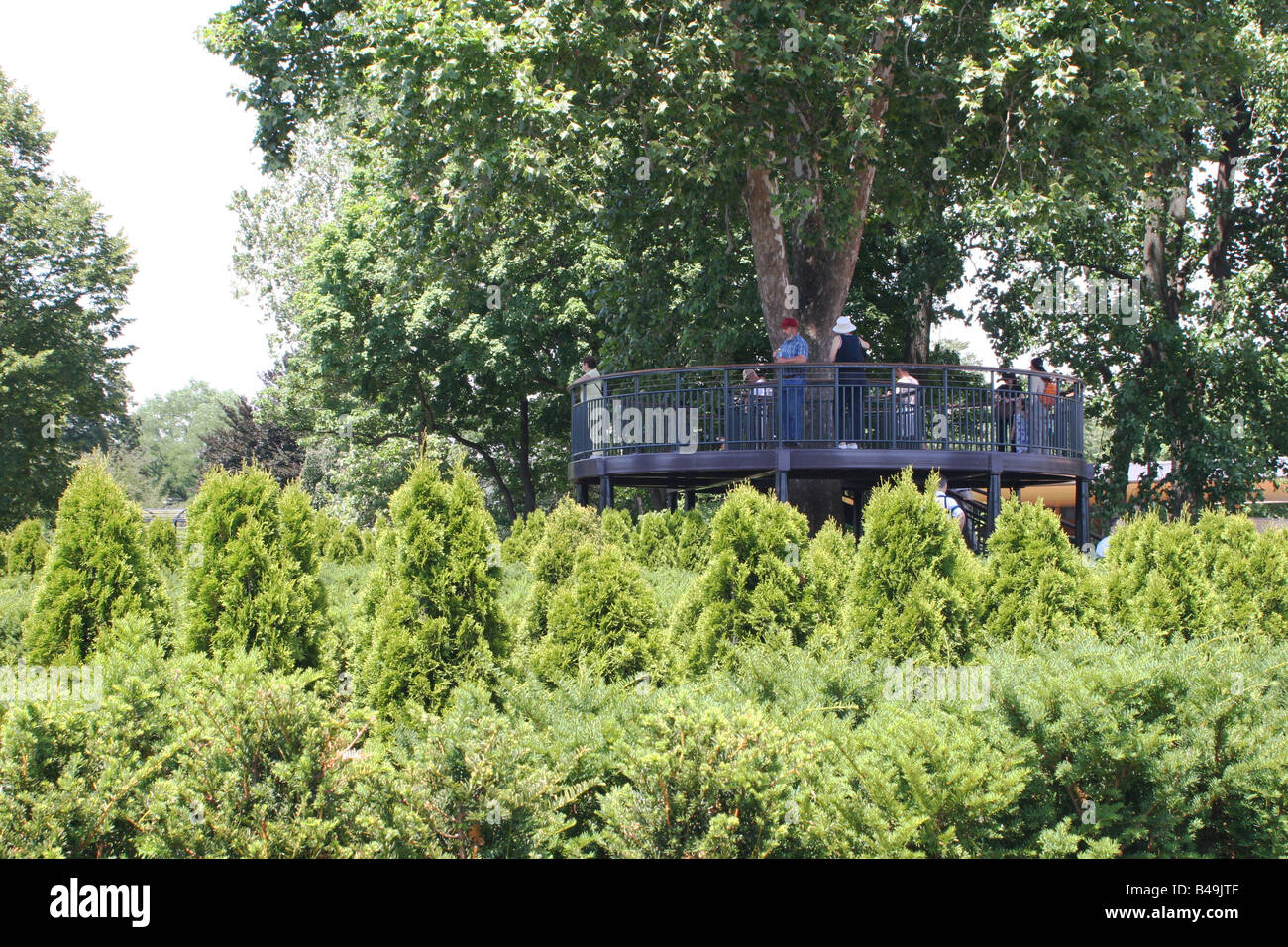 Visitors to The Morton Arboretum in the Maze Garden, Lisle, Illinois ...