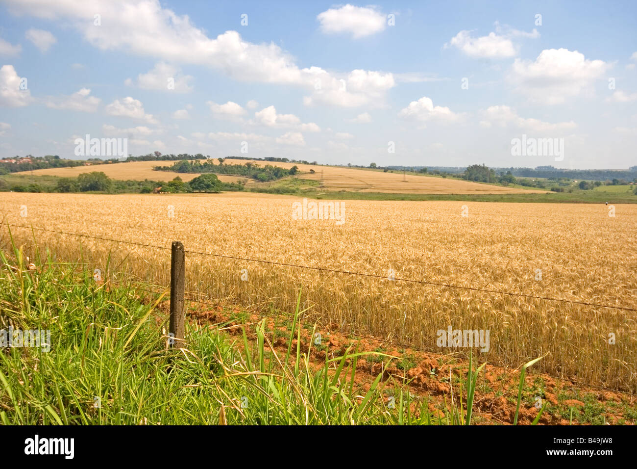 Grain horizontal hi-res stock photography and images - Alamy