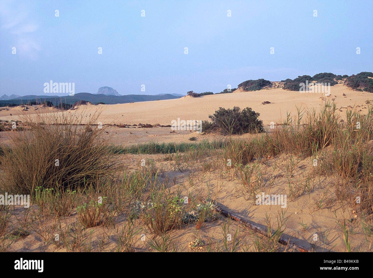 The greater european desert in Sardinia Italy Stock Photo - Alamy