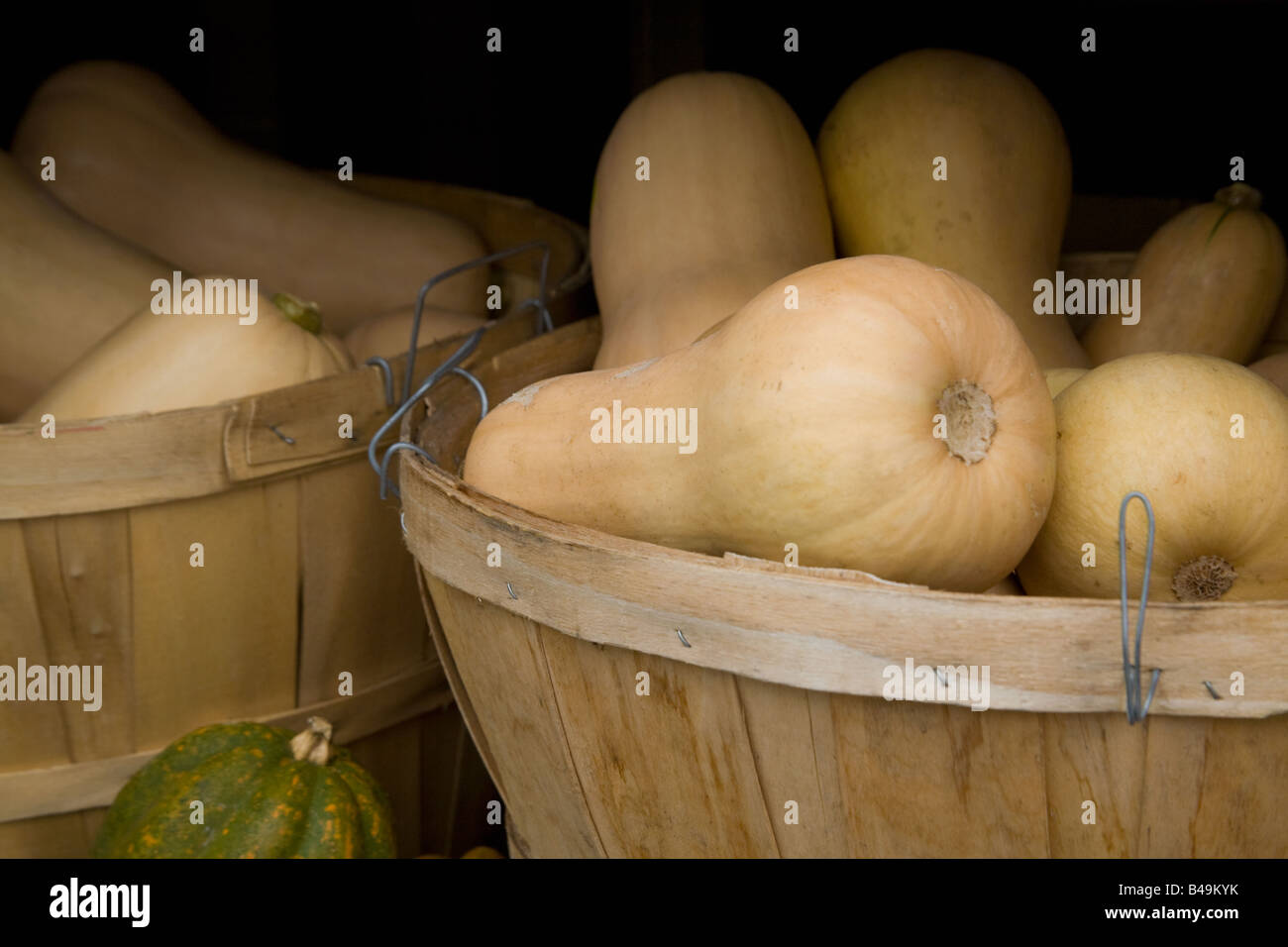 Two baskets of butternut squash (Cucurbita moschata) at an outside ...
