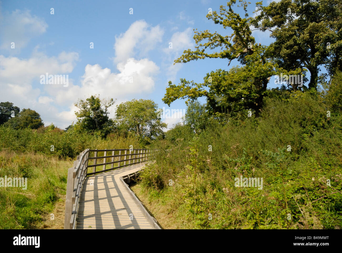Llangoed hi-res stock photography and images - Alamy