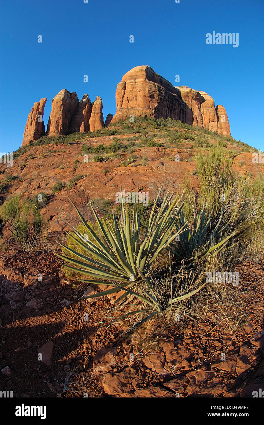 A red rock formation in Sedona, Arizona, USA Stock Photo - Alamy
