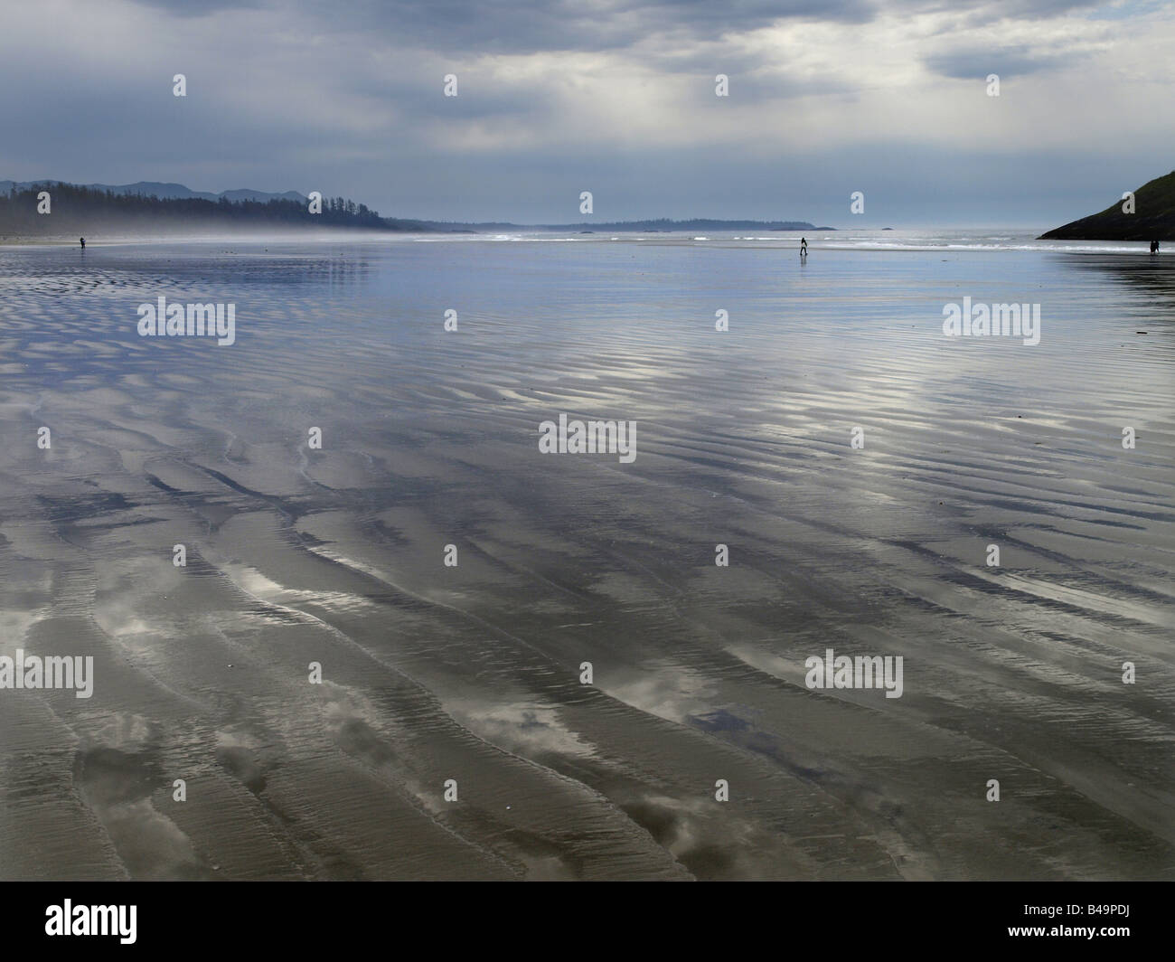 Canada pacific rim national hi-res stock photography and images - Alamy