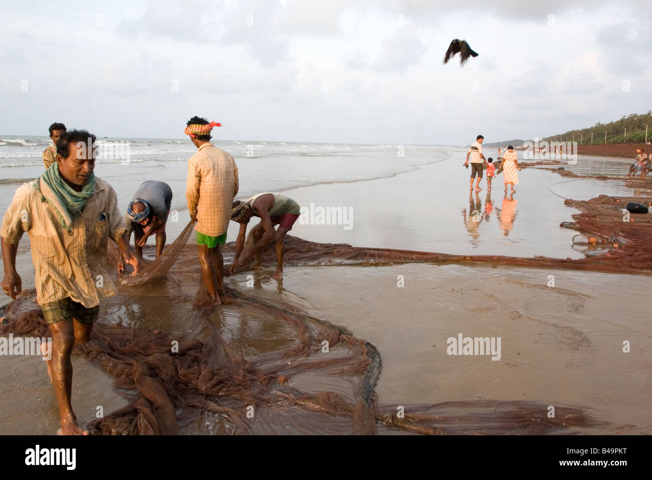 Sorting of fishes hi-res stock photography and images - Alamy