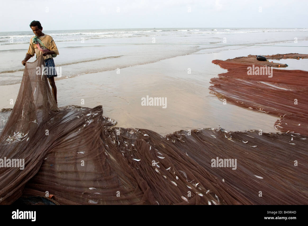 Sorting of fishes hi-res stock photography and images - Alamy