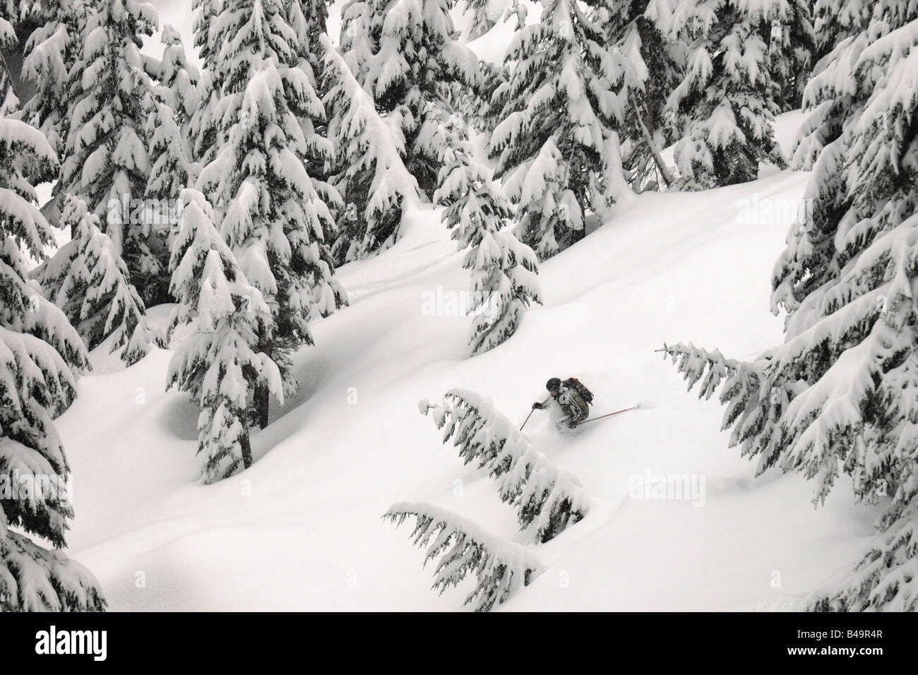 Man powder skiing hi-res stock photography and images - Alamy