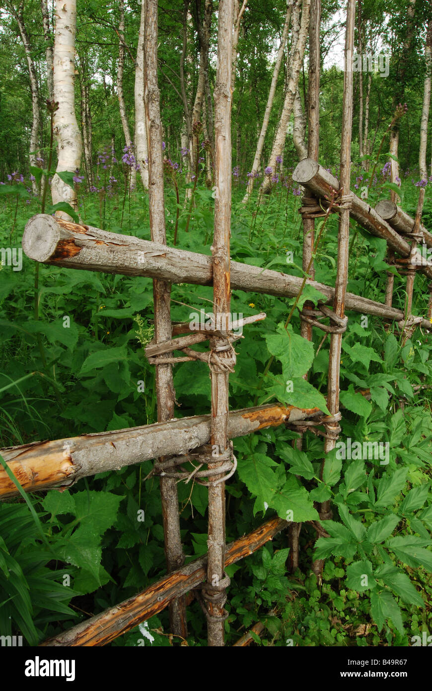 Traditional fence, Hemavan, Vasterbottenslan, Swedish Lapland, Sweden ...