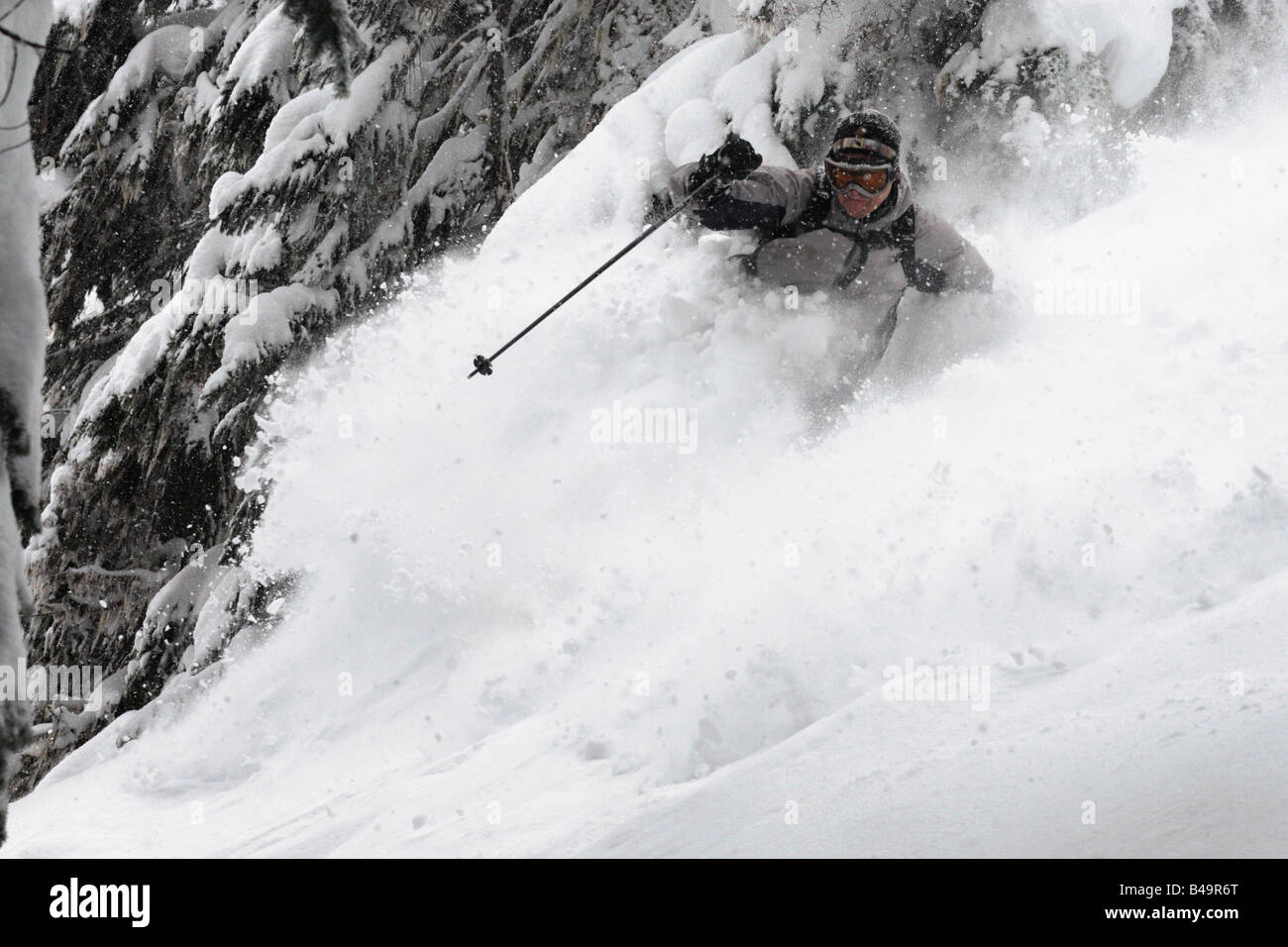 A skier in deep powder snow in trees and sliding snow Stock Photo - Alamy