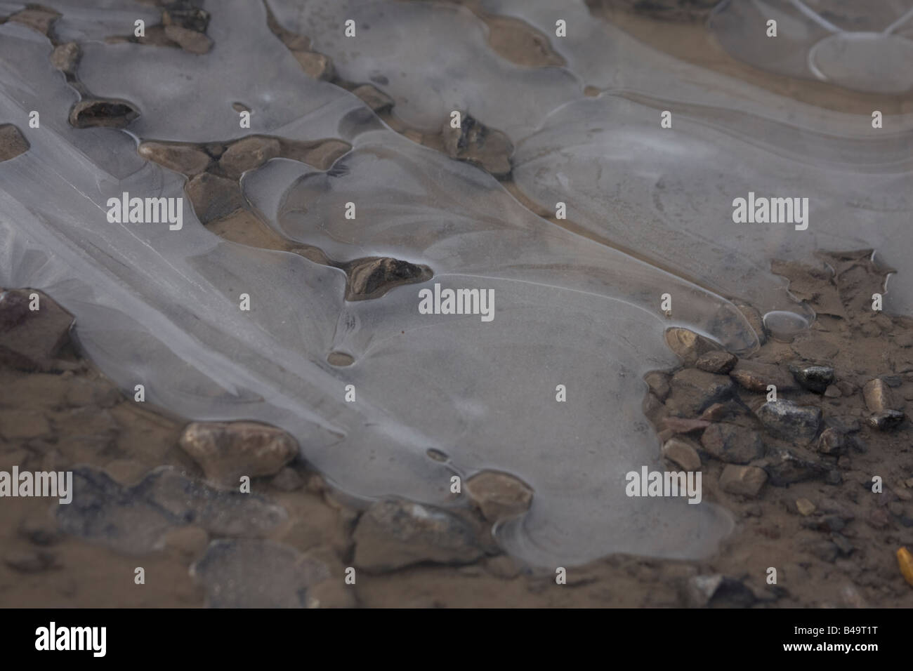 Ice in a puddle and mud in the New Forest, Hampshire, England Stock ...