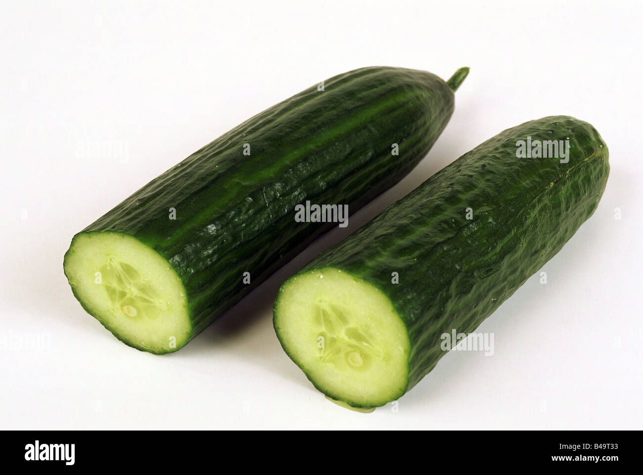 botany, Cucumis, "cucumber" (Cucumis sativus), cucumber, sliced ...