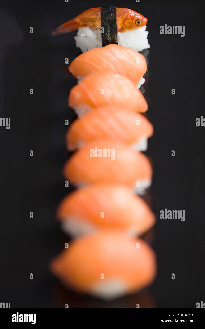 Goldfish prepared as nigiri sushi, placed as end piece of row of salmon ...