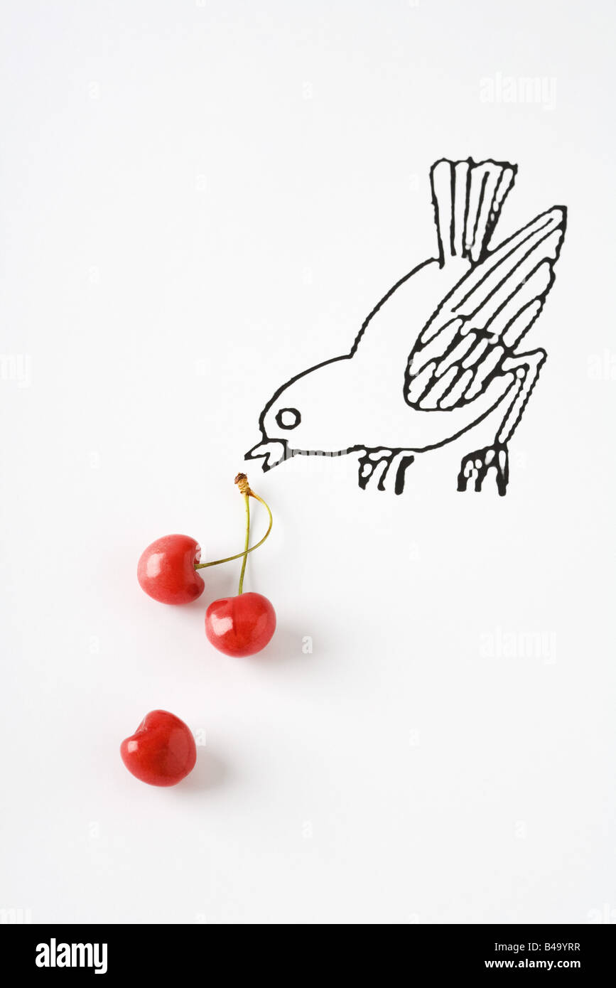 Birds pecking fruit hi-res stock photography and images - Alamy