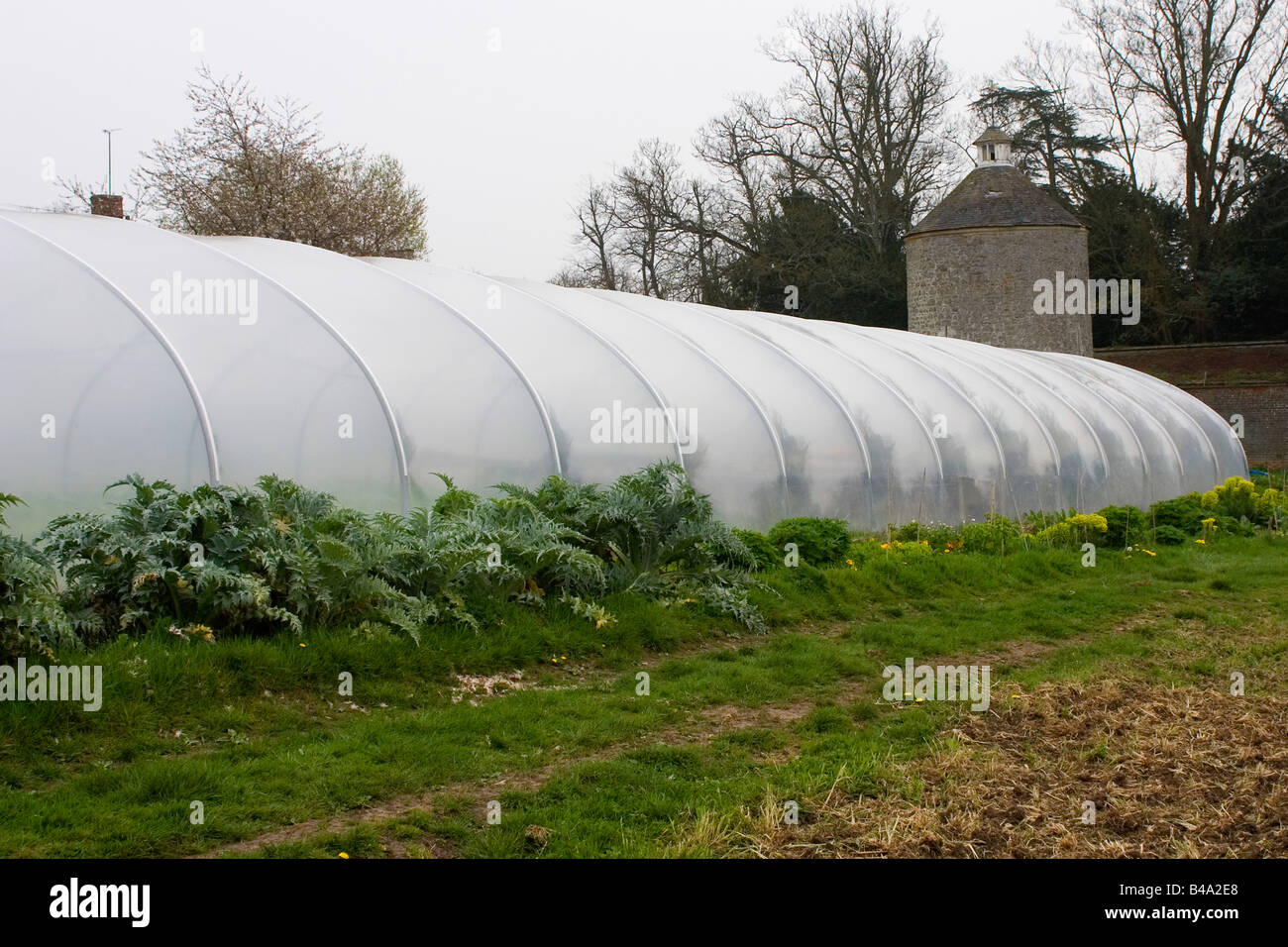 Pollytunnel hi-res stock photography and images - Alamy
