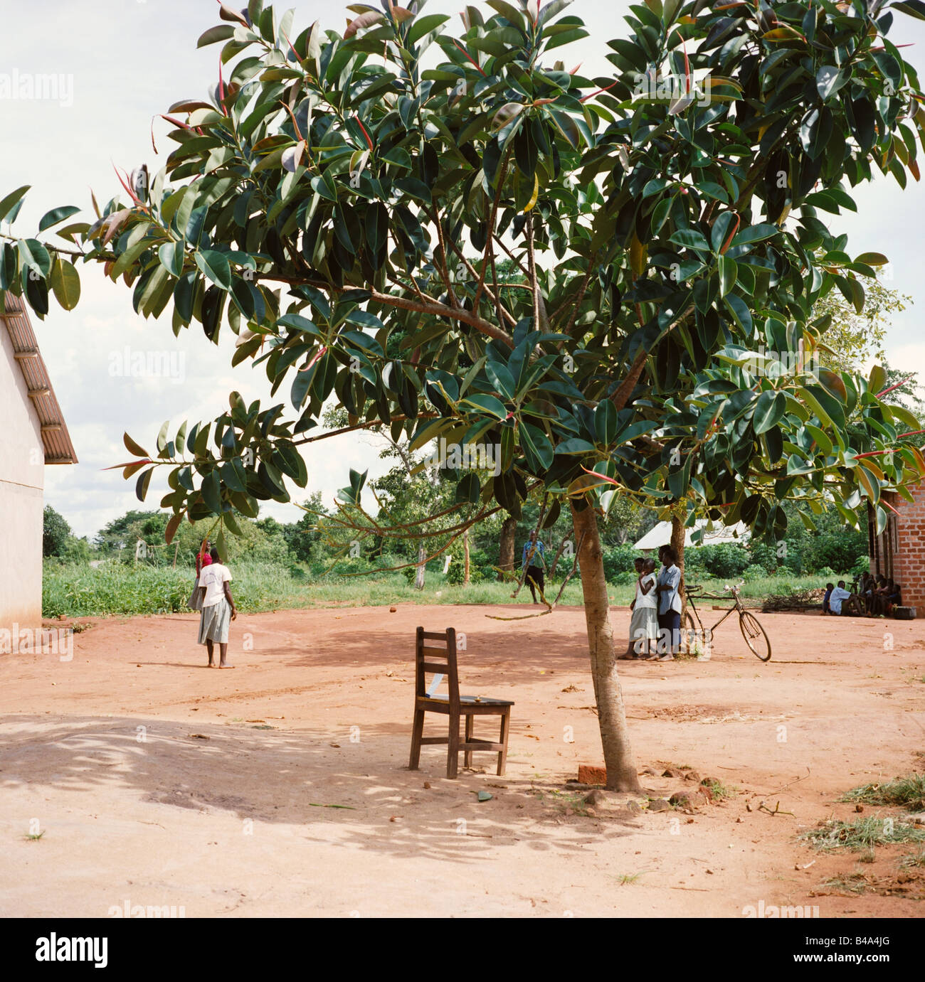 African School Under Tree High Resolution Stock Photography and Images ...