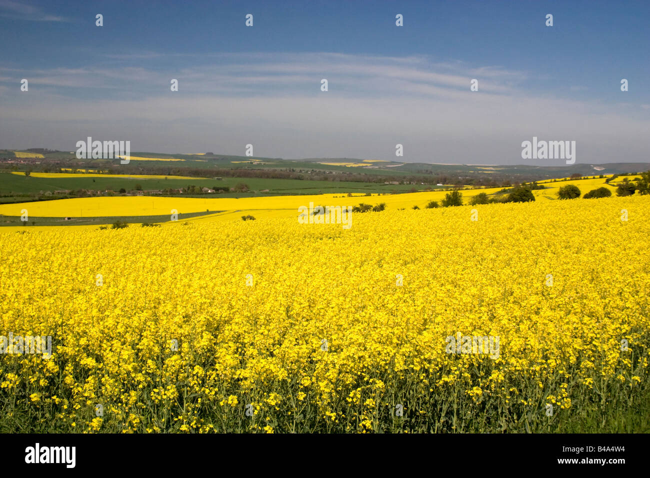 Market Lavington, Wiltshire Stock Photo - Alamy