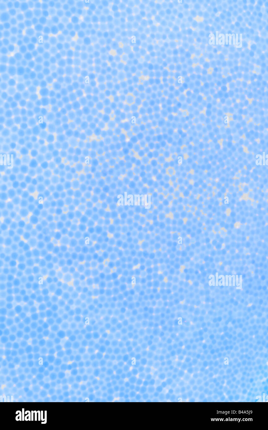 Blurred blue Styrofoam surface texture for use as background Stock ...