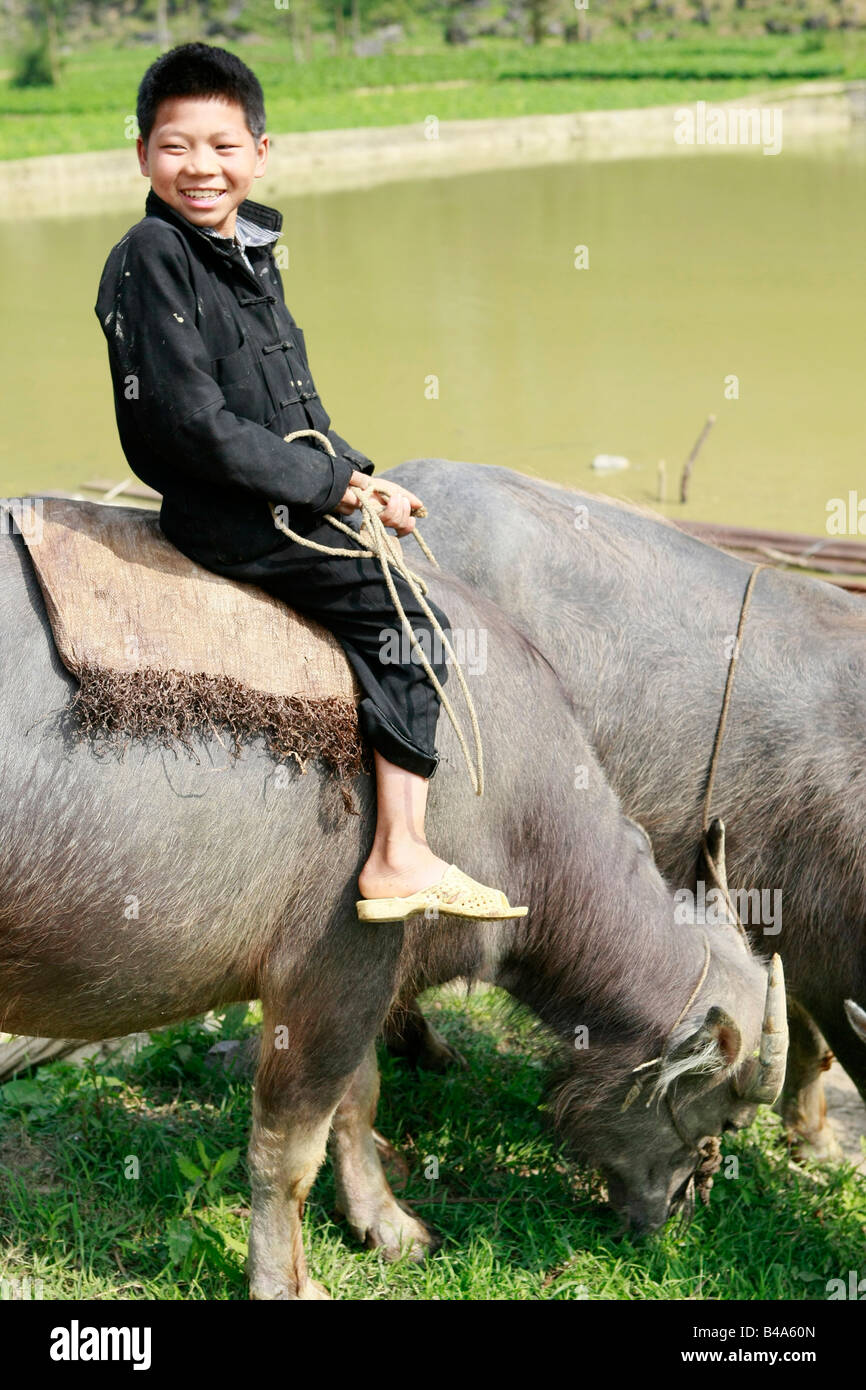 Boy riding water buffalo hi-res stock photography and images - Alamy