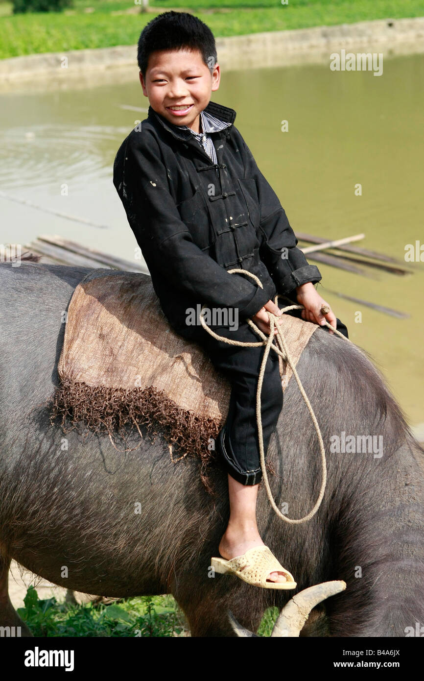 White Hmong boy and buffalo at the village of Pho Lao, Dong Van Plateau ...
