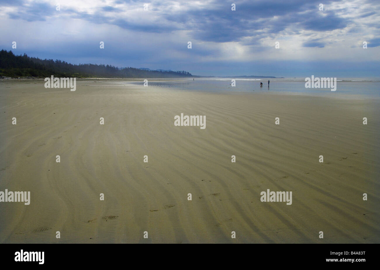 Canada pacific rim national hi-res stock photography and images - Alamy