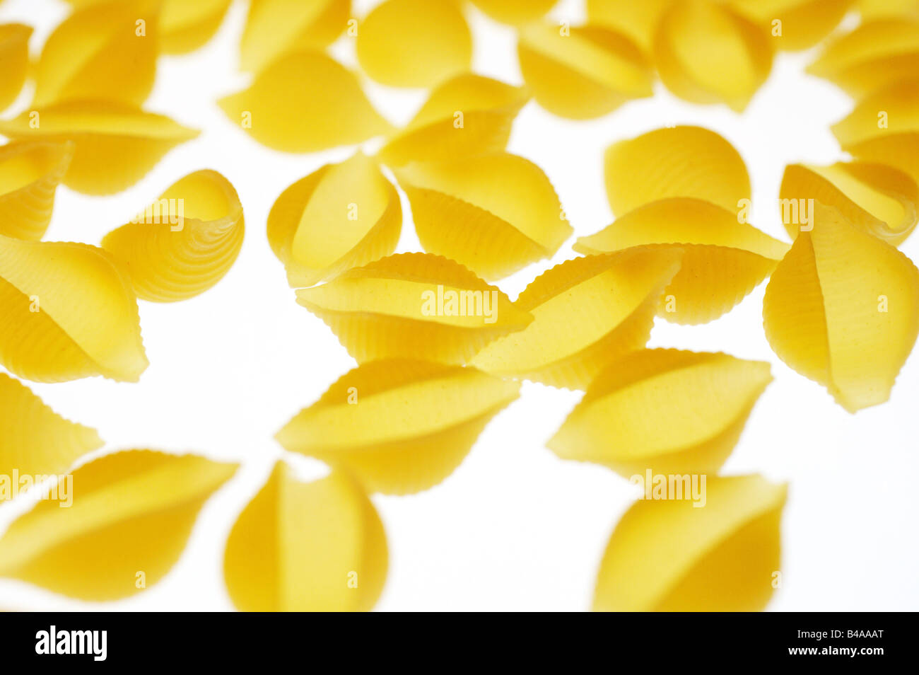 Pasta shells on a white background Stock Photo - Alamy