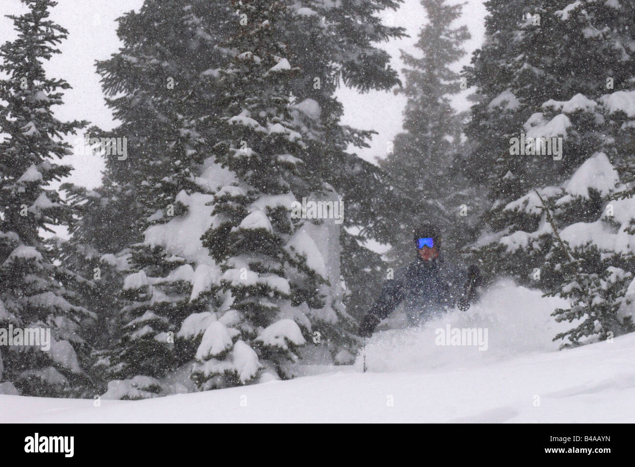 Powder snow hi-res stock photography and images - Alamy