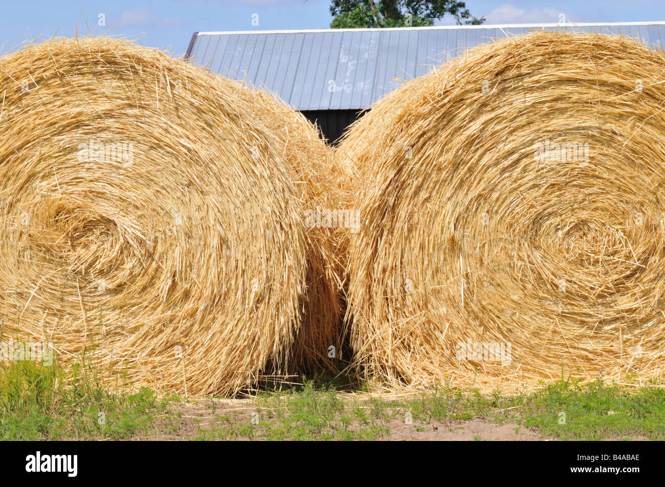 American hay hi-res stock photography and images - Alamy
