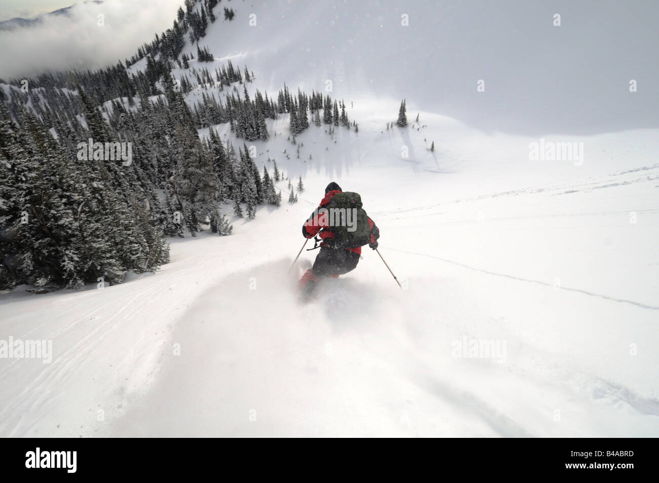 A view from behind of man skiing powder down into a bowl Stock Photo ...