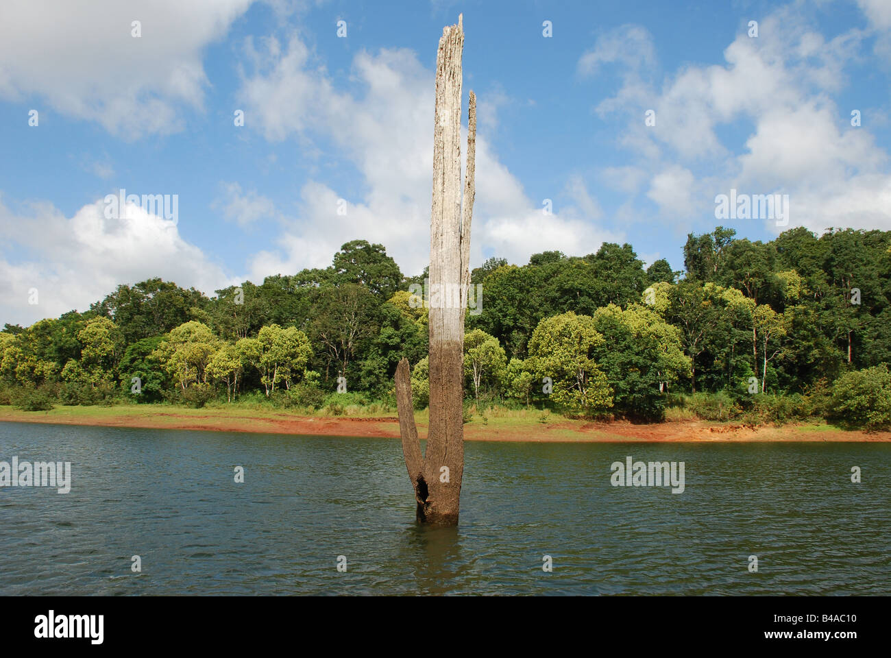 Periyar tiger reserve Thekkady, Kerala Stock Photo - Alamy