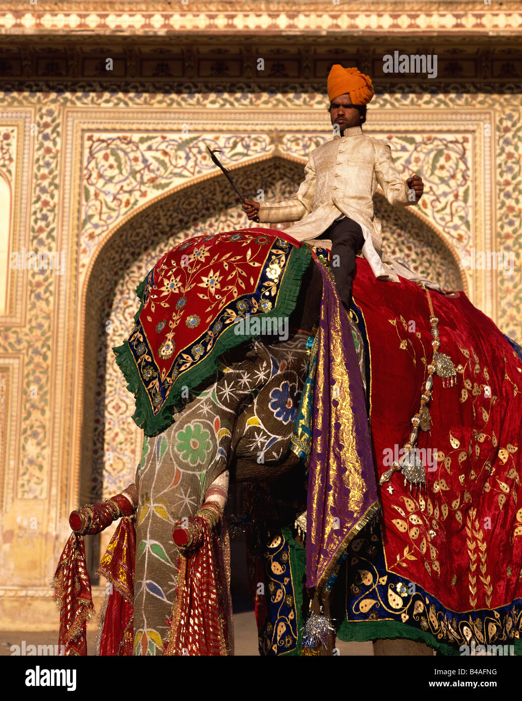 India, Rajasthan, Jaipur, Decorated Elephant Stock Photo - Alamy