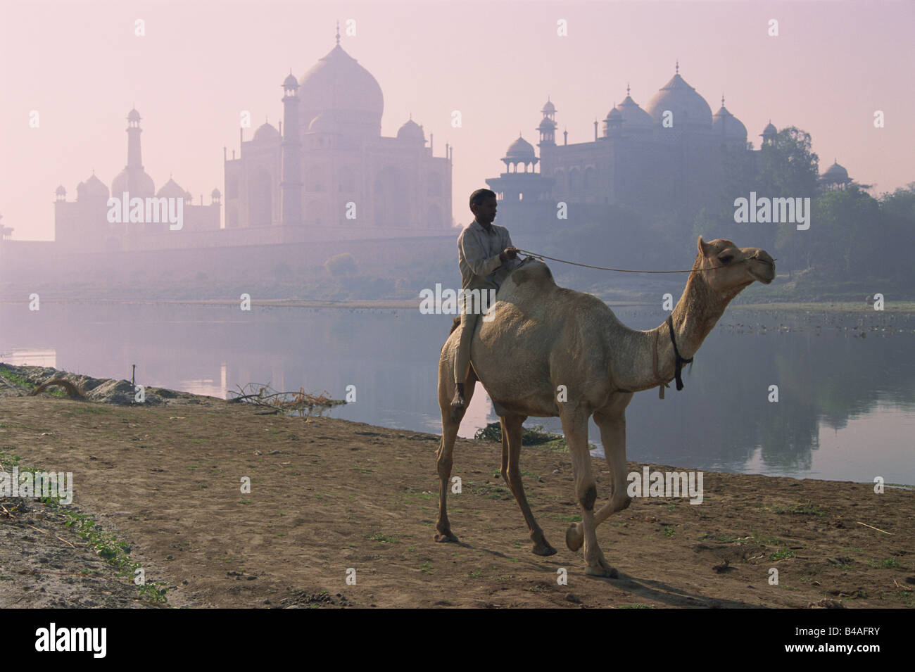 Man riding camel hi-res stock photography and images - Alamy