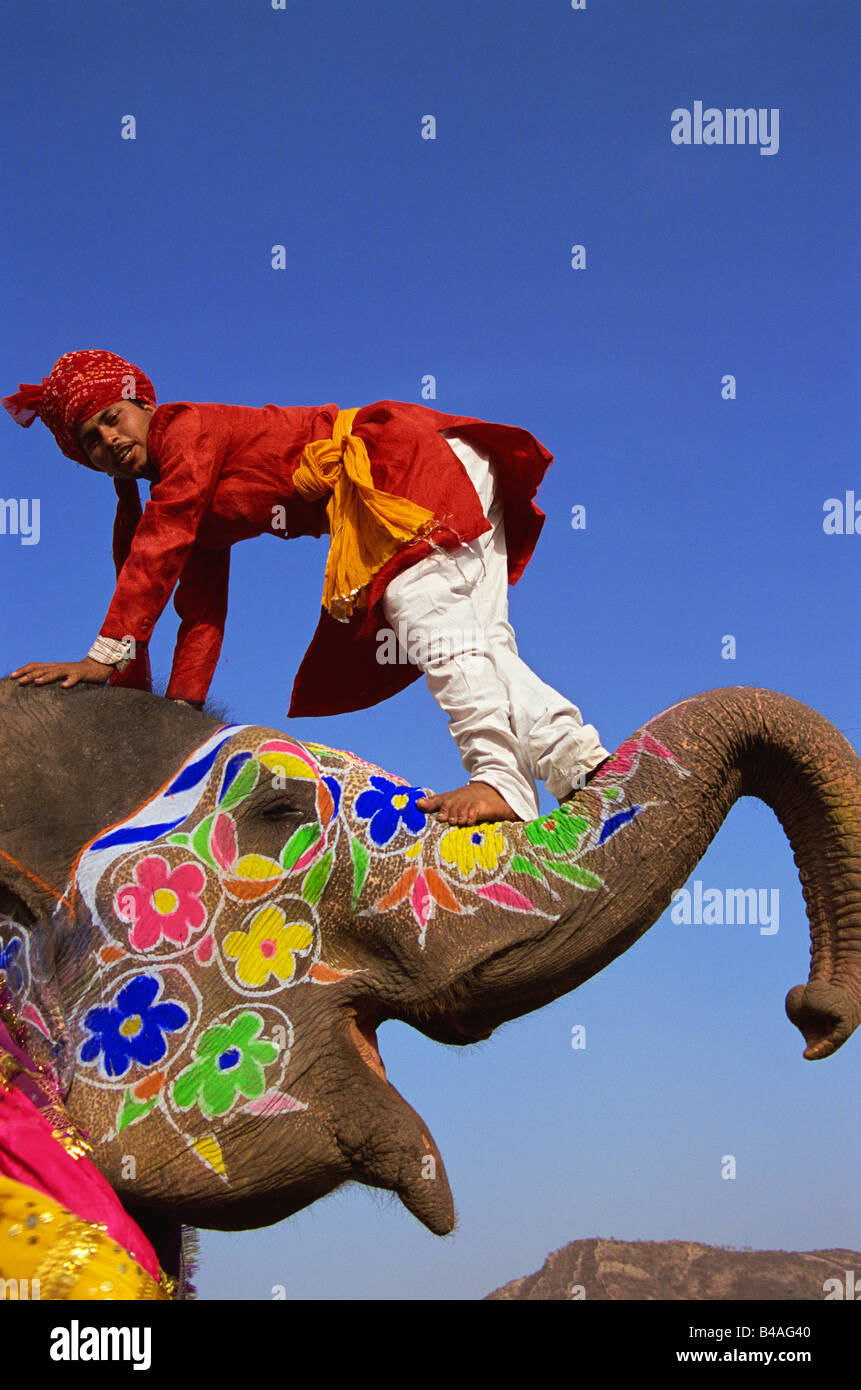 Decorated costume elephant india hi-res stock photography and images ...