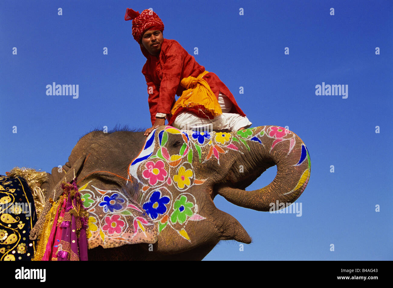 Man elephant hi-res stock photography and images - Alamy