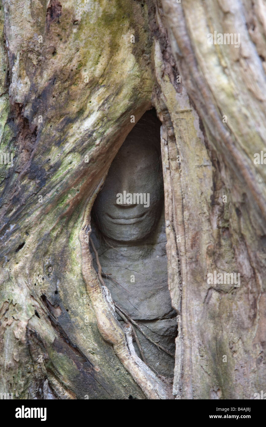 Hidden figure hi-res stock photography and images - Alamy