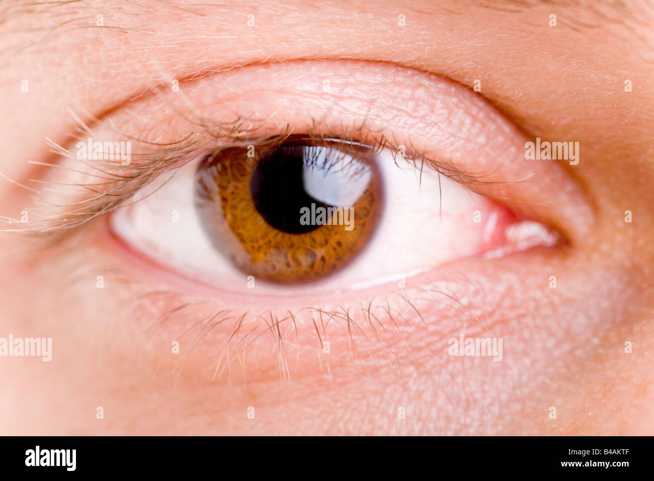 Iris eye cutout hi-res stock photography and images - Alamy