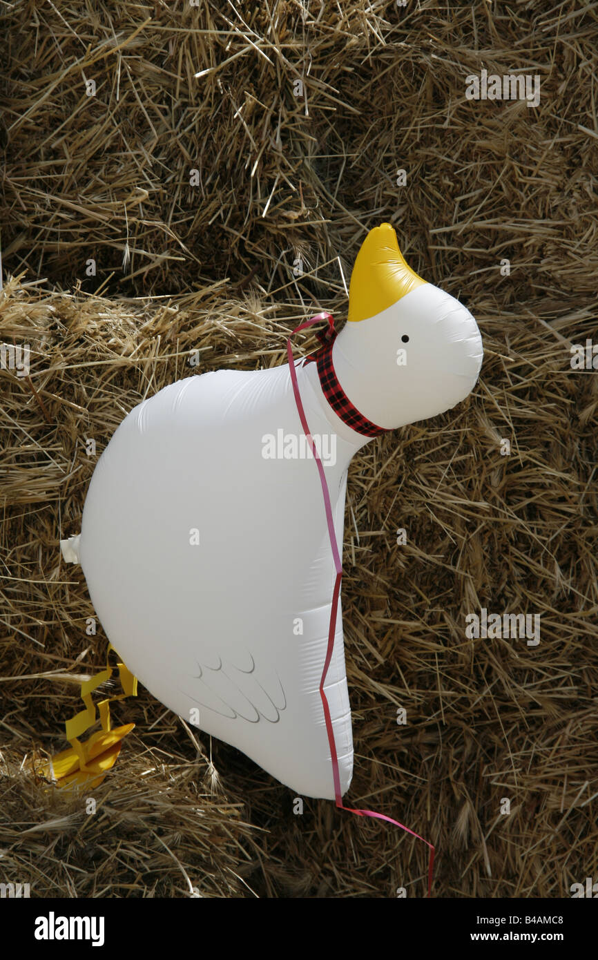 inflatable white duck balloon and straw bales Stock Photo - Alamy