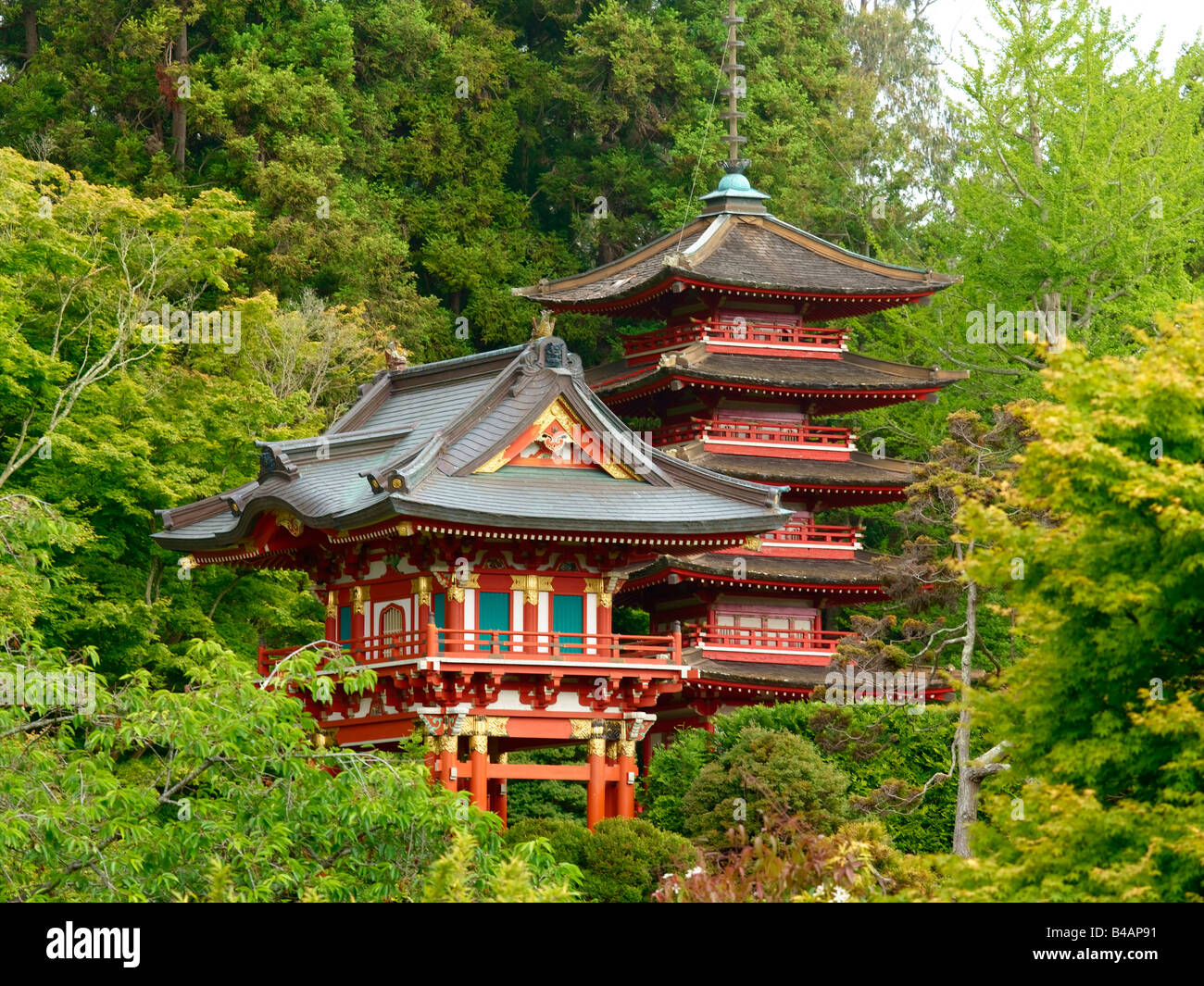 Japanese Tea Gardens Golden Gate Park Stock Photo - Alamy
