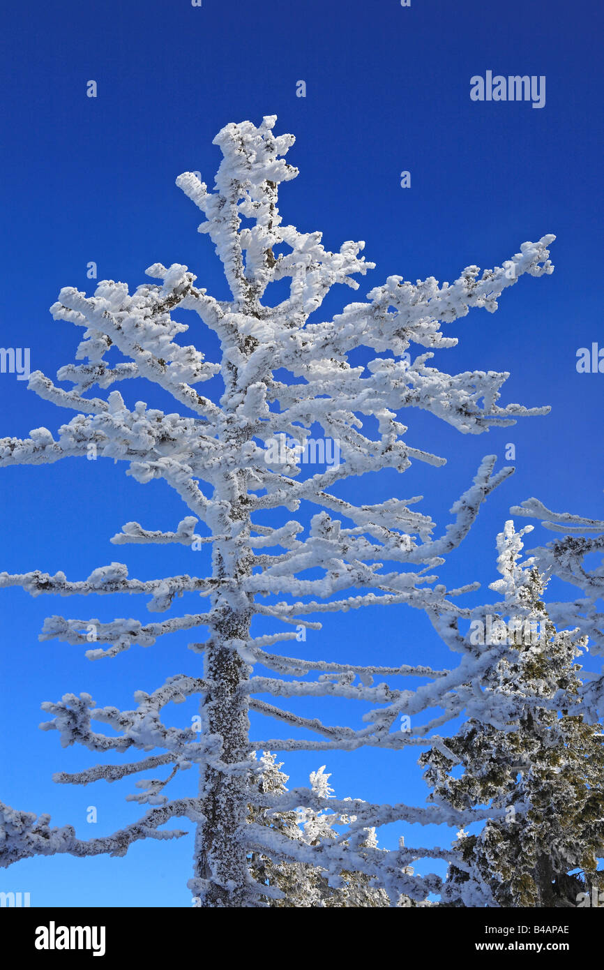Brasov winter hi-res stock photography and images - Alamy
