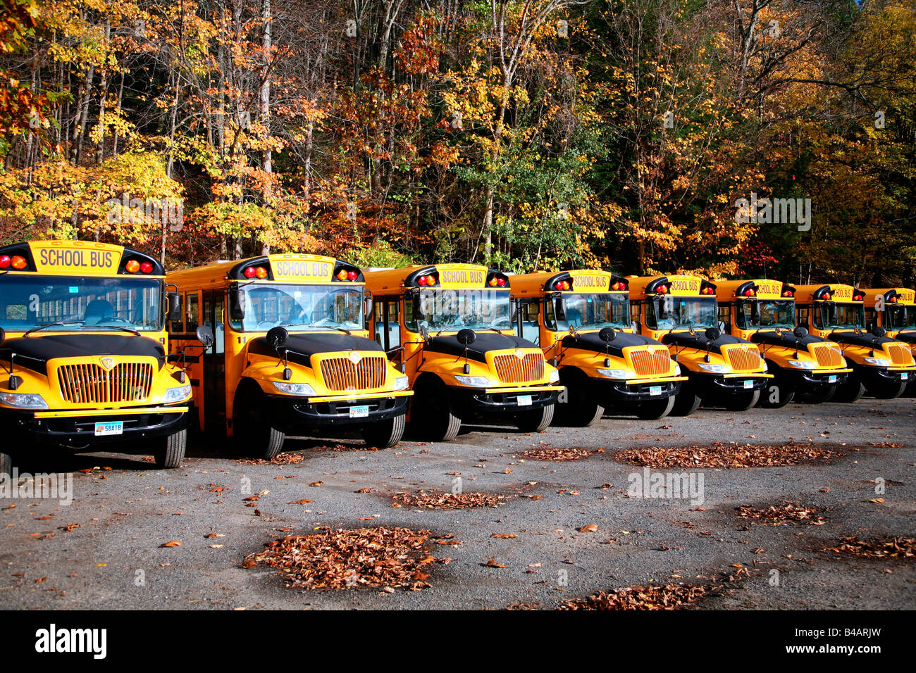 American School Bus Stock Photo - Alamy