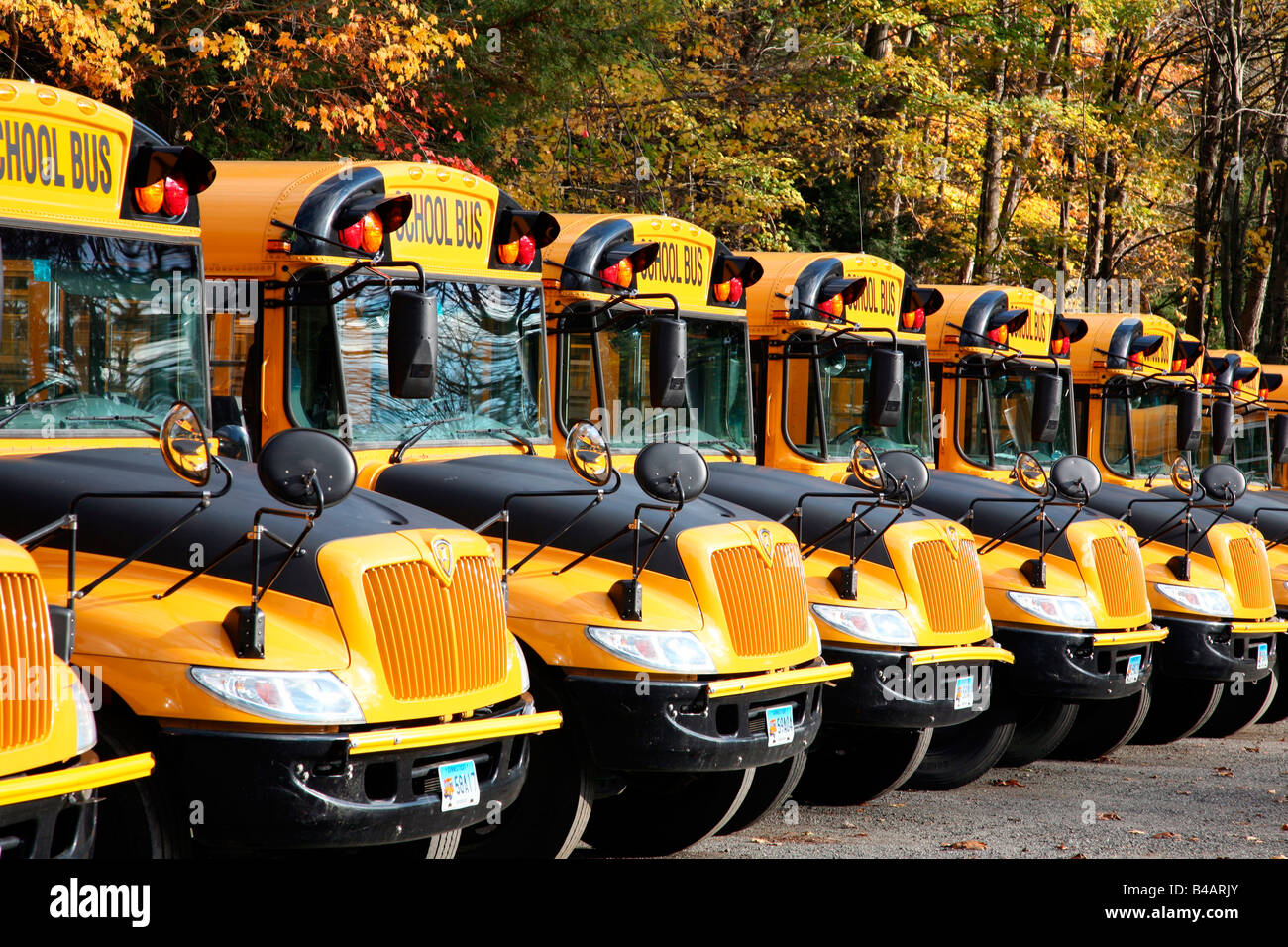American school buses hi-res stock photography and images - Alamy