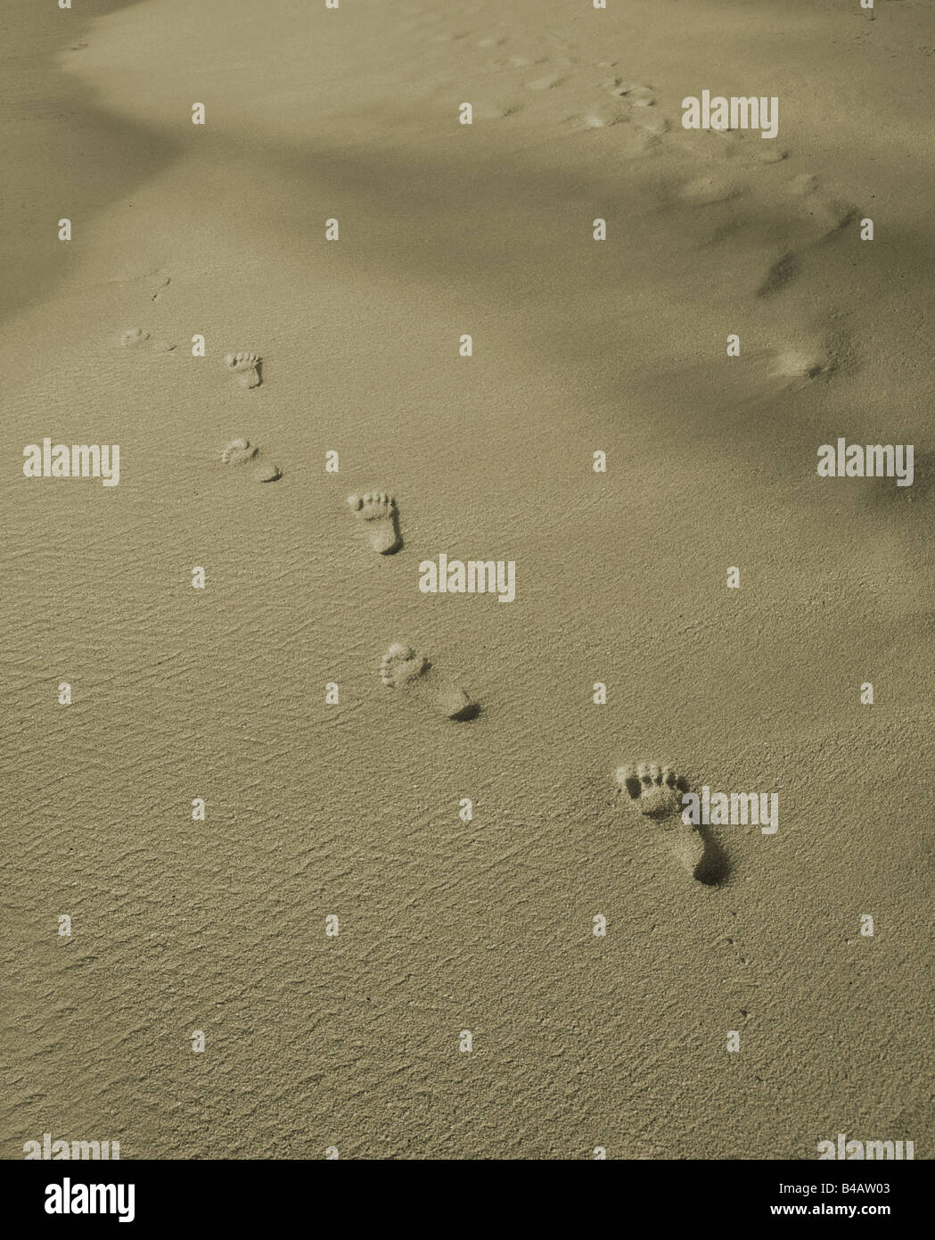 footsteps in the sand Stock Photo - Alamy