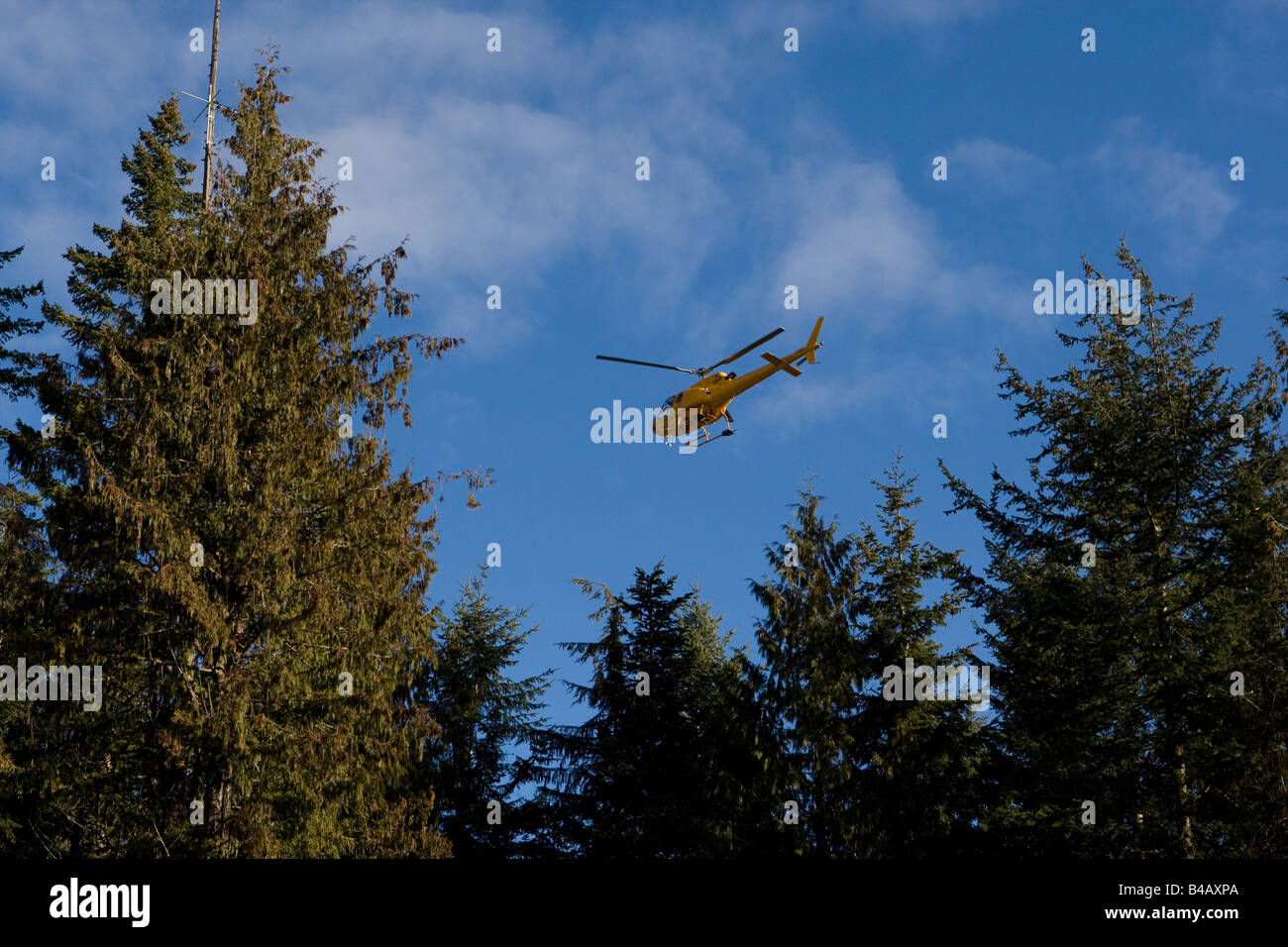 Helicopter Over Trees High Resolution Stock Photography and Images - Alamy