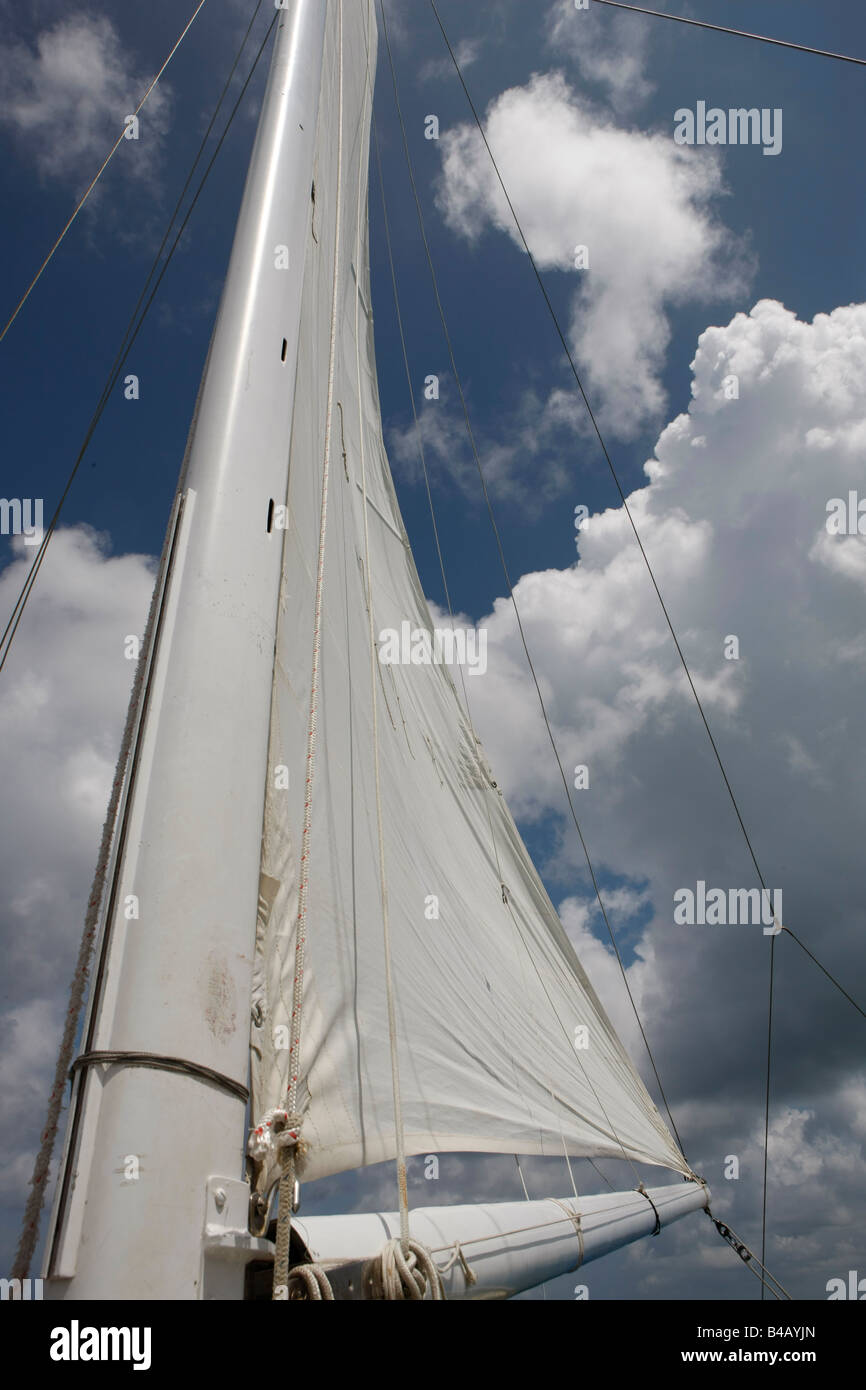 upward view of sails Stock Photo - Alamy